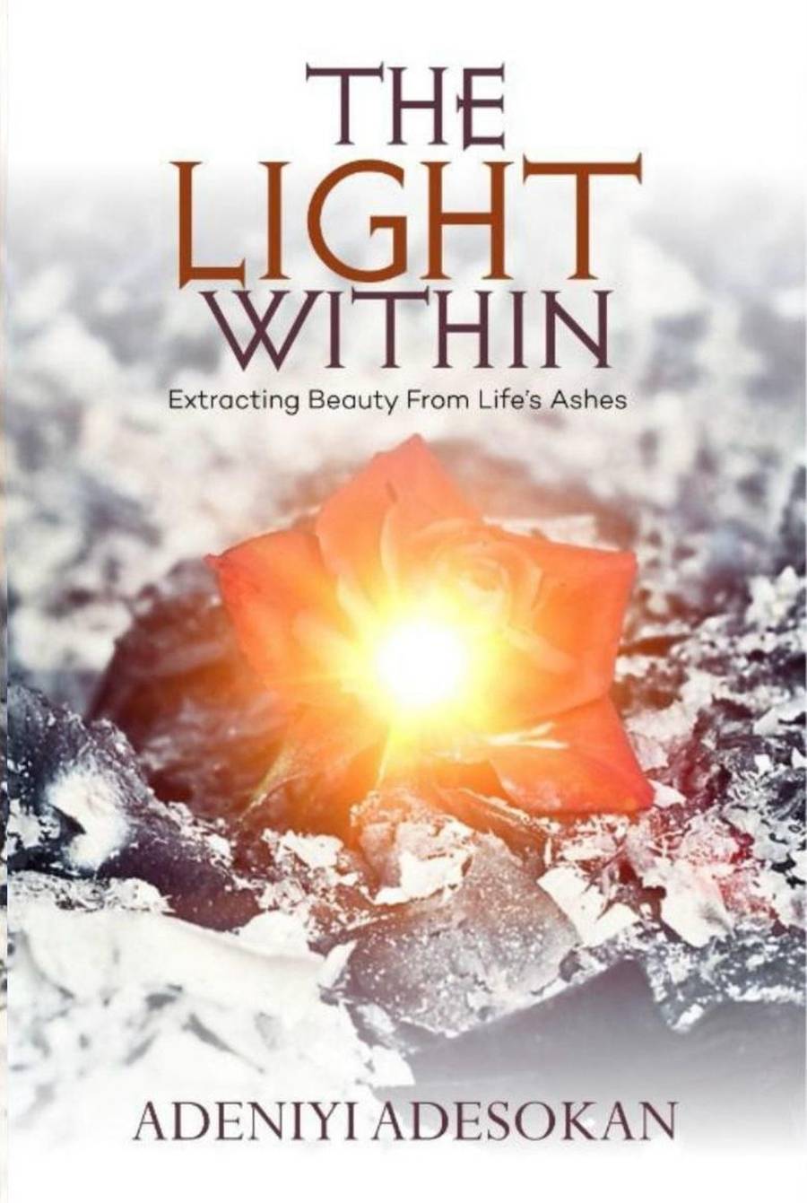 Adeniyi Adesokan Turned Real-Life Struggles Into Literary Gold in The ...